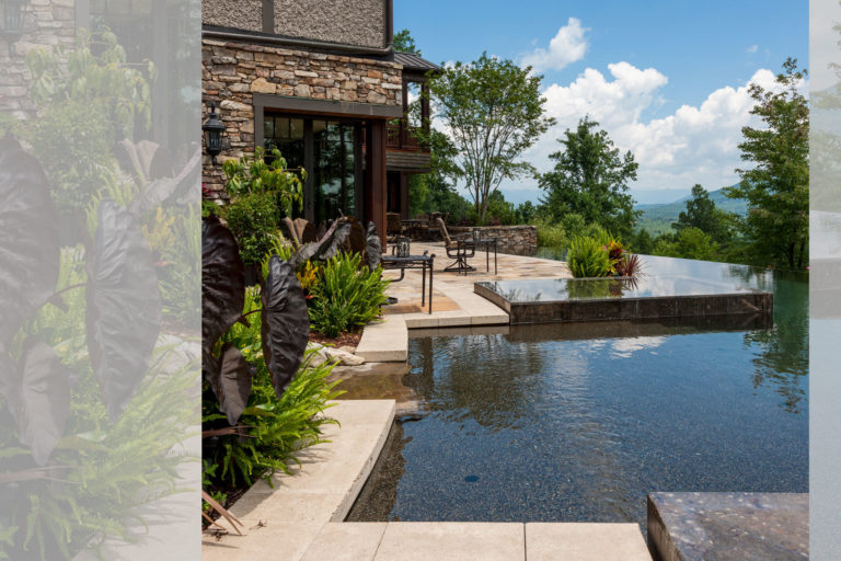 Infinity edge spa in luxury pool design | ACM Design Architecture ...