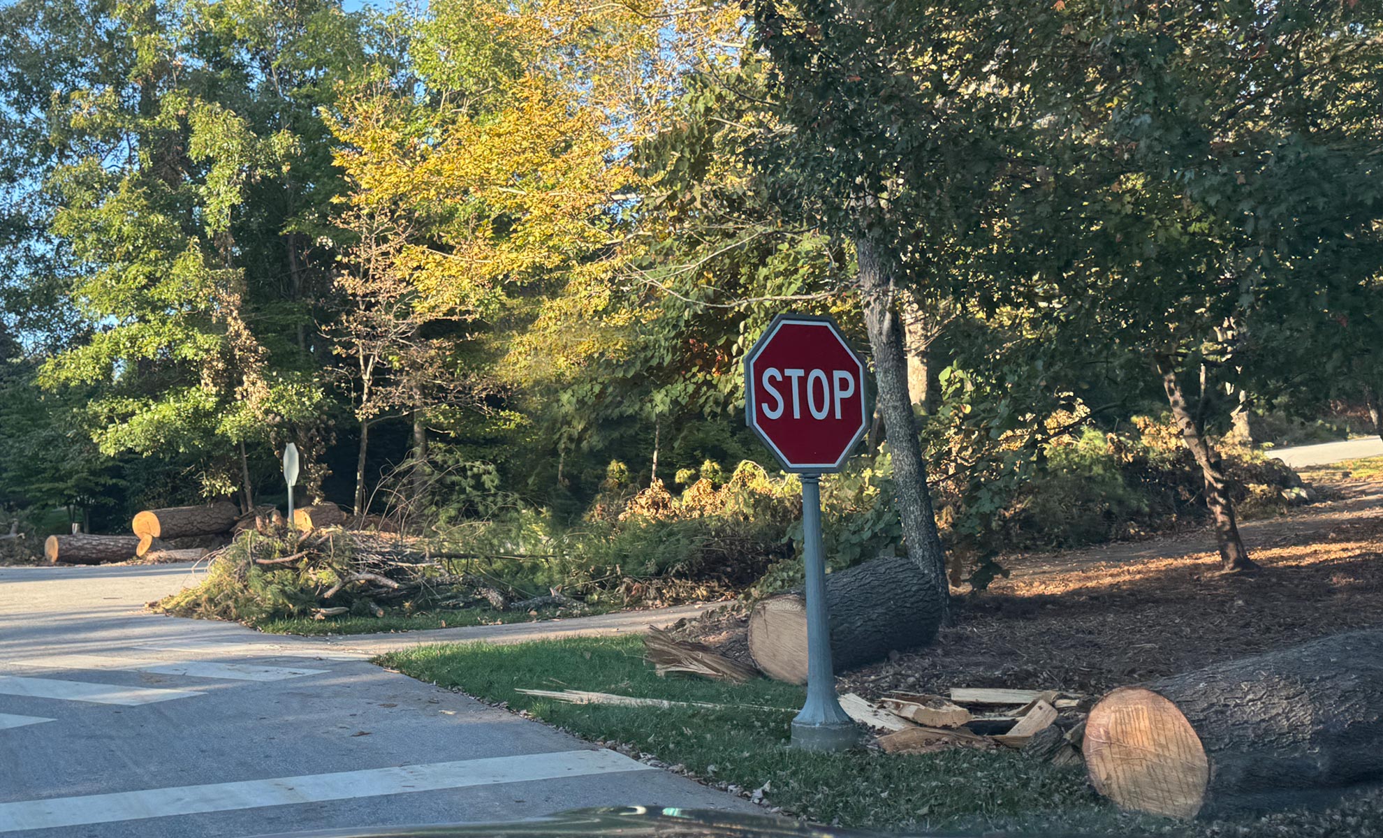 Shining a Light on the Aftermath of Hurricane Helene in Western North ...