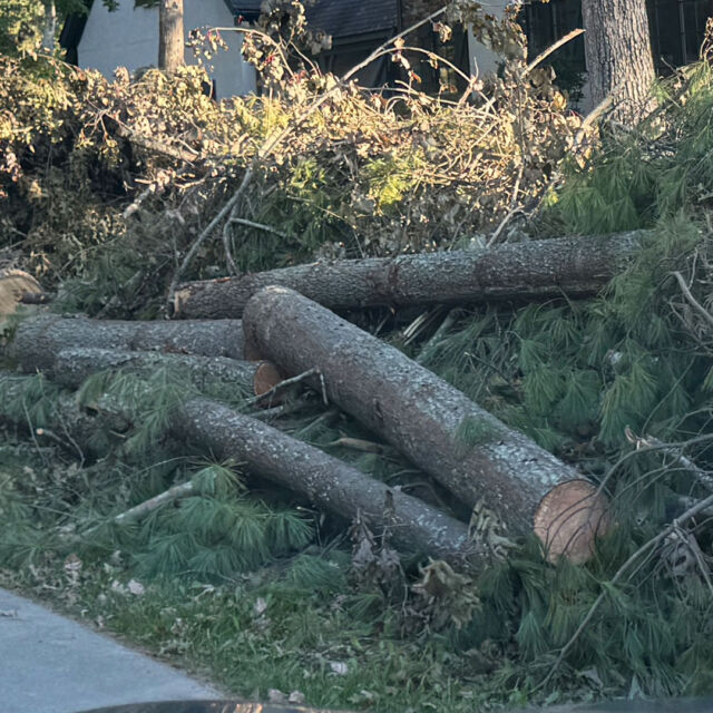 Craftsman style kitchen design for a chef | ACM Design Architecture ...